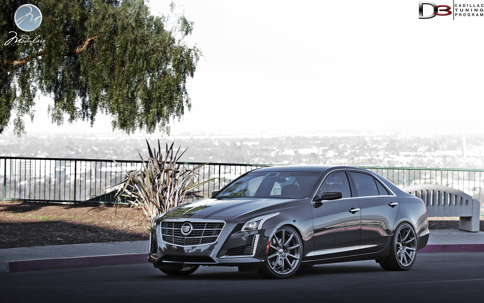 2014 Cadillac Cts Custom